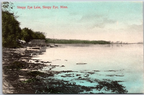 Sleepy Eye Lake Sleepy Eye Minnesota MN Forest in Distance Postcard | eBay