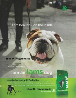 IAMS 1-Page MAGAZINE PRINT AD 2009 adorable BULLDOG walking on leash | eBay