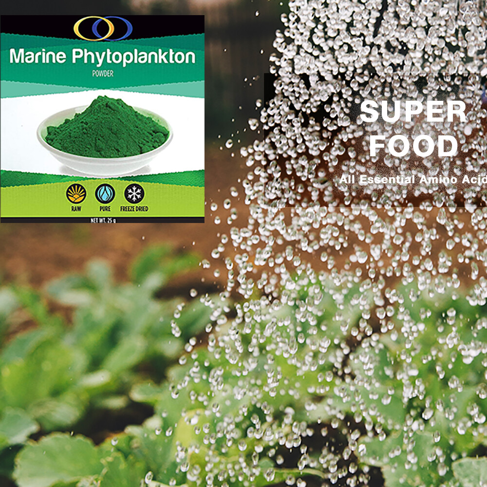 Optimally Organic Raw Marine Phytoplankton Powder Herbal Supplement ...