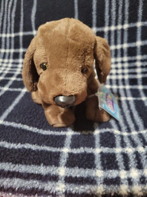 WEBKINZ COCOA LAB HM689 New with Unused Code | eBay