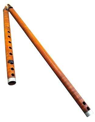 Professional Rajasthani Musical Instrument Algoza Woodwind Male Female ...