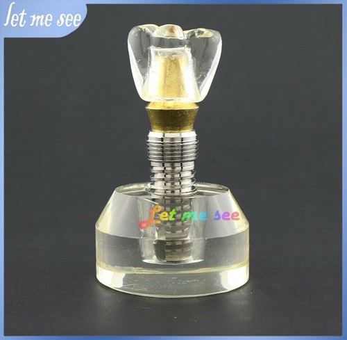Tooth Crown Model Detachable Dental Implant Demonstration Crystal ...