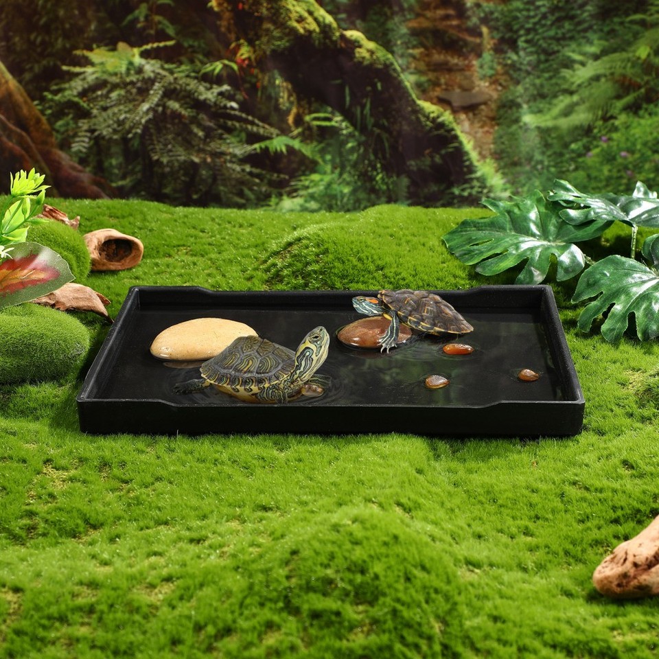 Reptile Dish Tortoise Bathing Pool Food Bowl Baby Reptiles Water Large ...