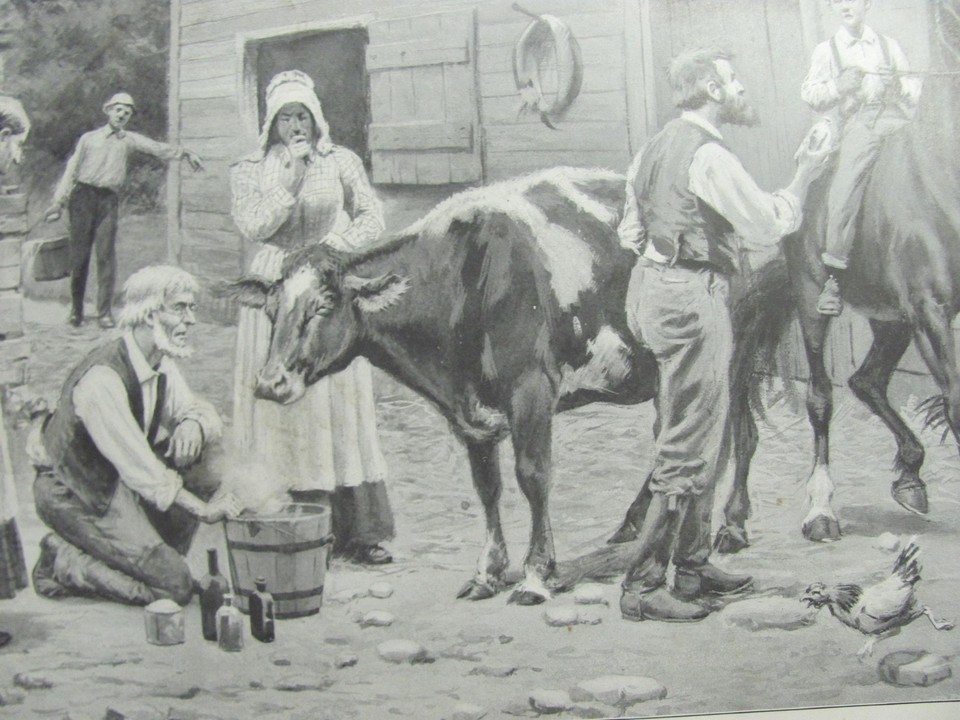 A B Frost "THE SICK COW" 1904 DRAWING of EARLY FARM / BARN SCEEN ...