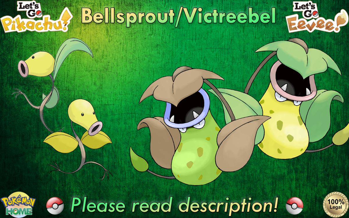 Bellsprout Evolution Pokemon Go