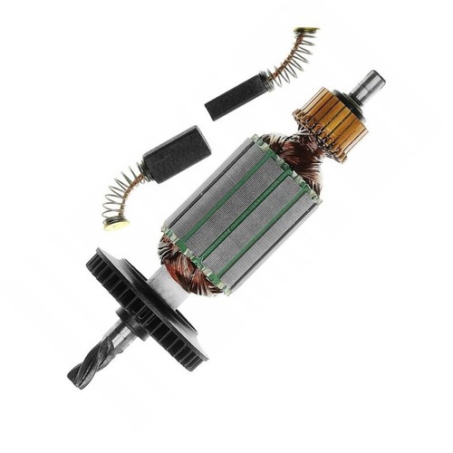 f Bosch Rotor Motor Anker PSB570RE PSB600RPE PSB600-2 2604011154 Brush ...