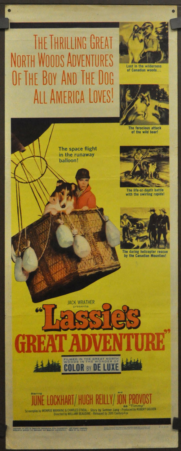 LASSIE'S GREAT ADVENTURE 1963 ORIG 14X36 MOVIE POSTER JUNE LOCKHART ...