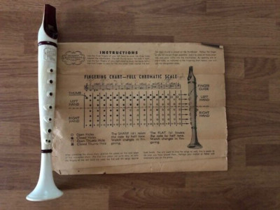 Flutophone with instructions | eBay