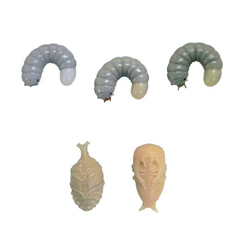Realistic Larva Pupa All 5 variety set Gashapon toys | eBay