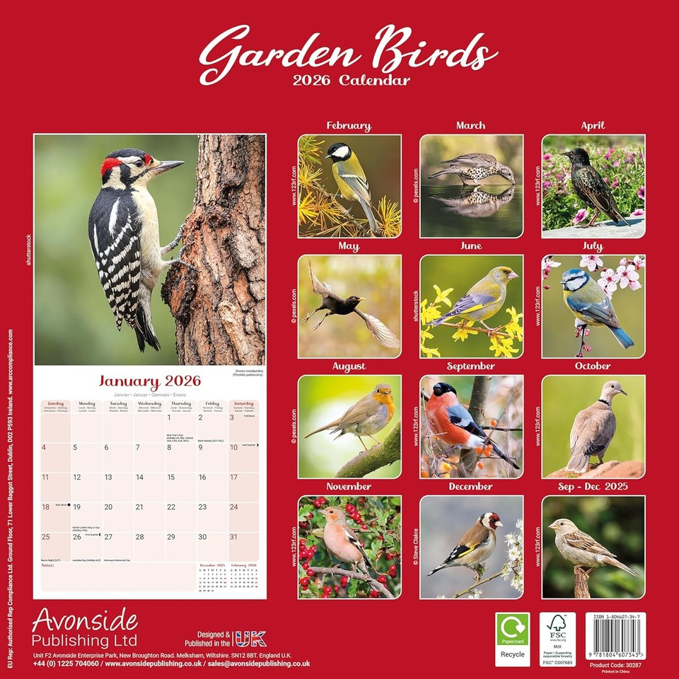GARDEN BIRDS - 2026 WALL CALENDAR - BRAND NEW - 07343 | eBay