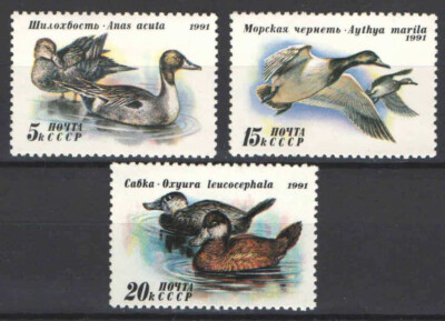 USSR / Soviet Union 1991. Animals / birds / ducks nice set MNH (**) | eBay