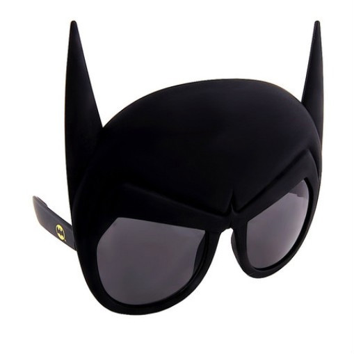 DC SUPERHERO COSTUME GLASSES MASK SUN-STACHES BATMAN CATWOMAN ROBIN ...