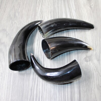 4 Small Polished Cow Horns #8045 Natural colored | eBay