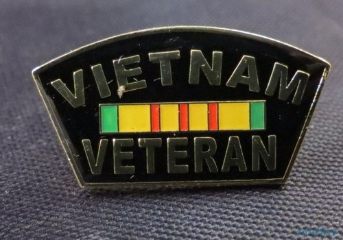 WHOLESALE LOT OF 12 VIETNAM VETERAN WAR GOLD PINS tie tack lapel rocker ...