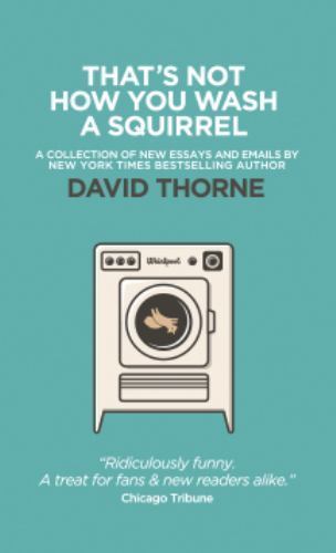 The Internet is a Playground, Thorne, David, Good Book 9780988689503| eBay