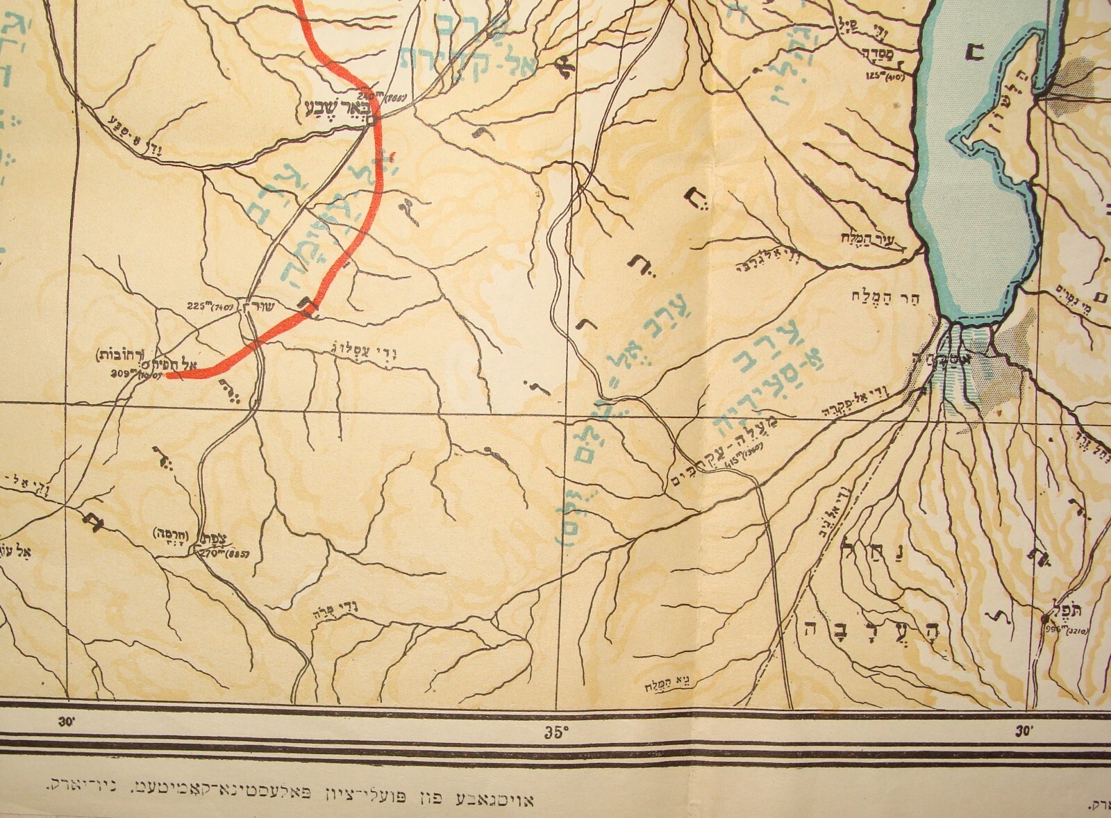 RARE Jewish 1918 Palestine Israel Map NY | Grelly UK