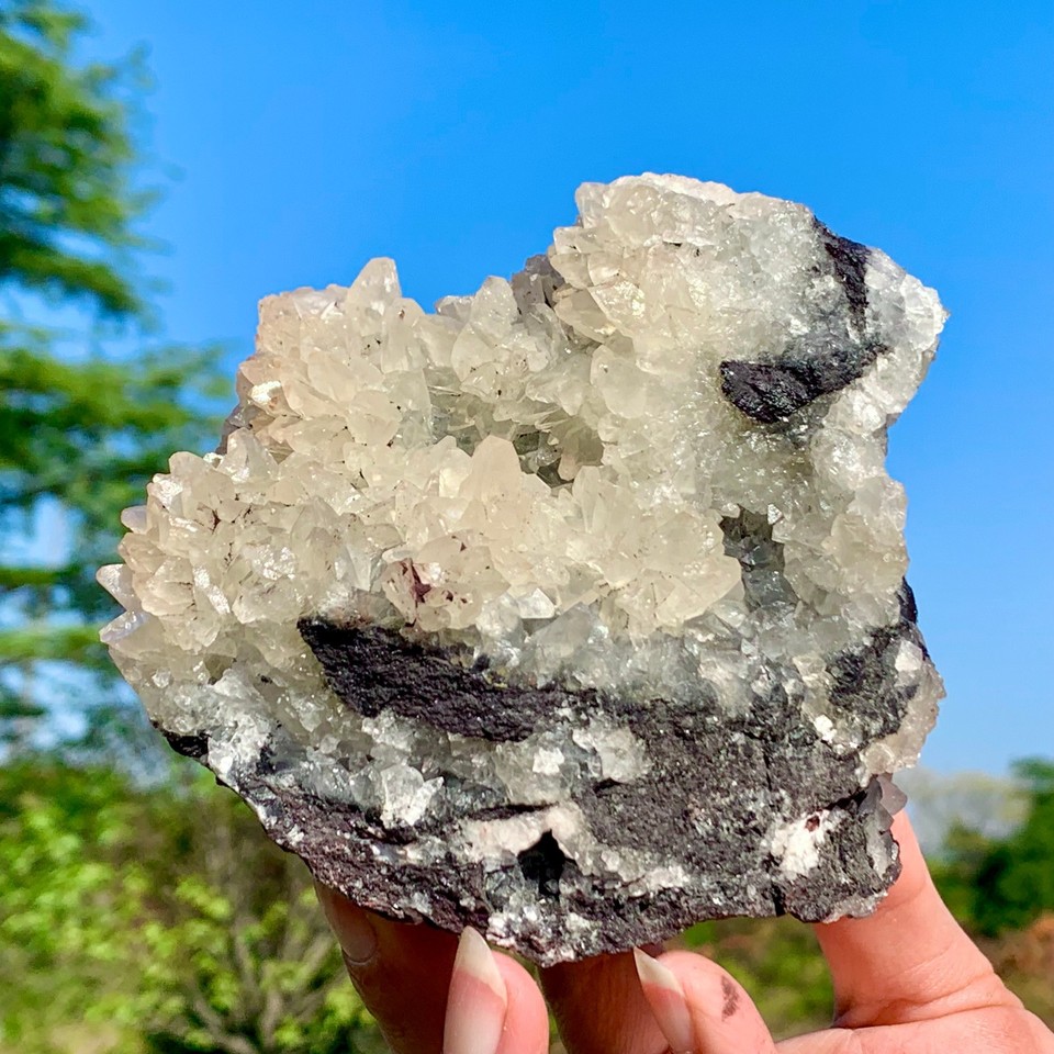 1.82LB Natural Needle Shaped Calcite Symbiotic Black Iron Ore Crystal ...