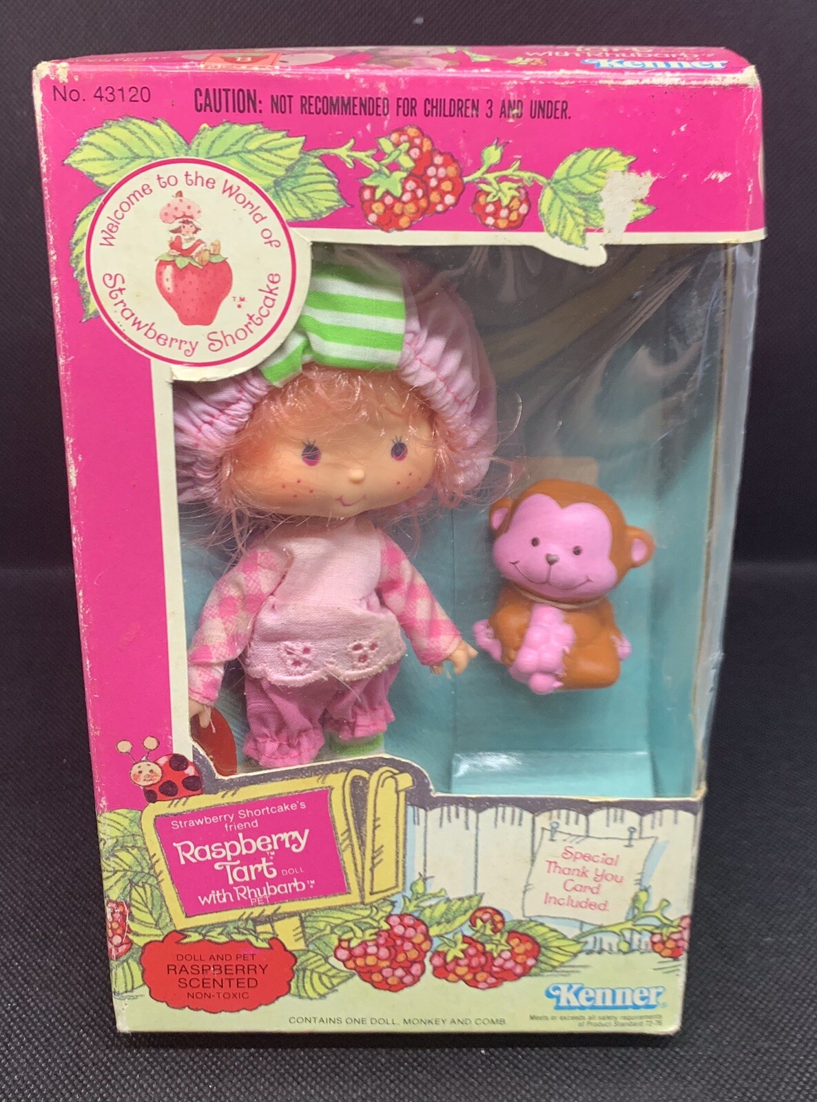 vintage 1980s Strawberry Shortcake Friend (Raspberry Tart) Doll | eBay
