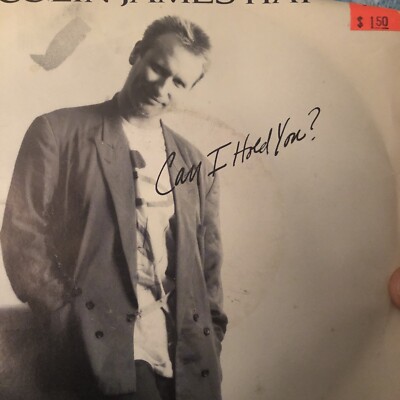 (nR339) Colin James Hay, Can I Hold You? - 1987 - 7" vinyl | eBay