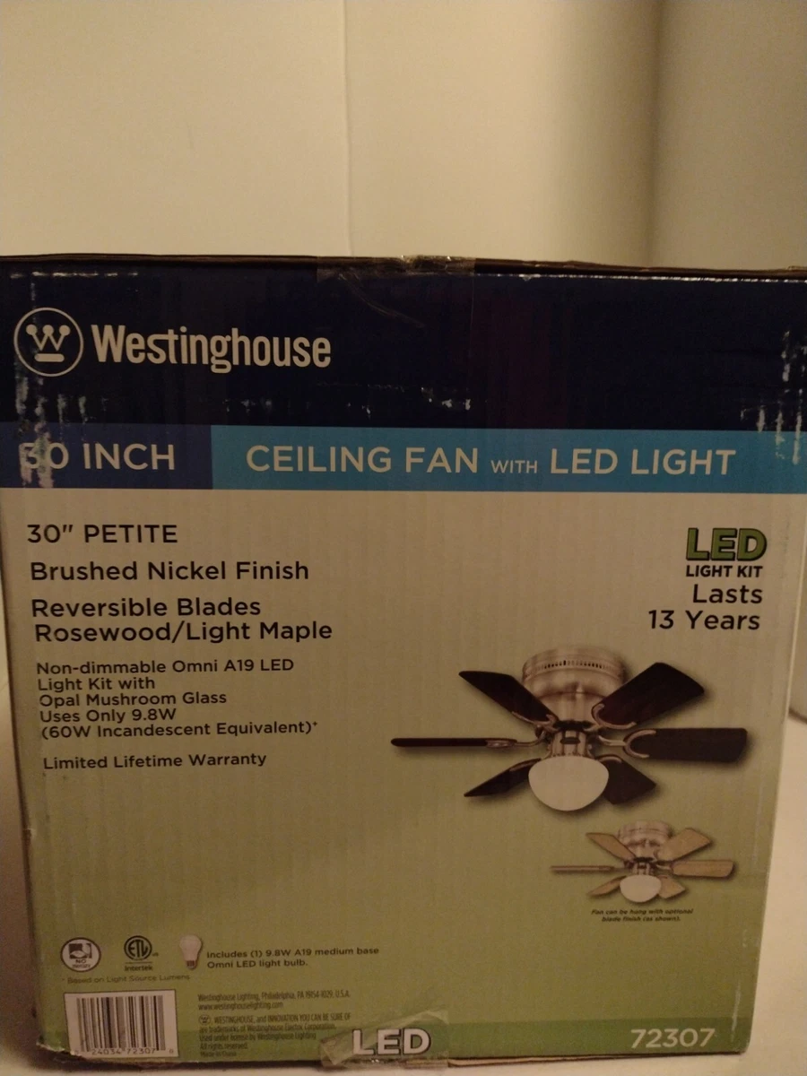 Intertek Ceiling Fan Light Kit | Shelly Lighting