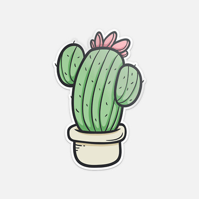 Cactus Funny Car Bumper Vinyl Sticker Decal | eBay