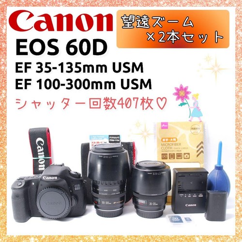 Canon EOS 60D Camera Kit with 2 Telephoto Zoom Lenses, Used, Discounted ...