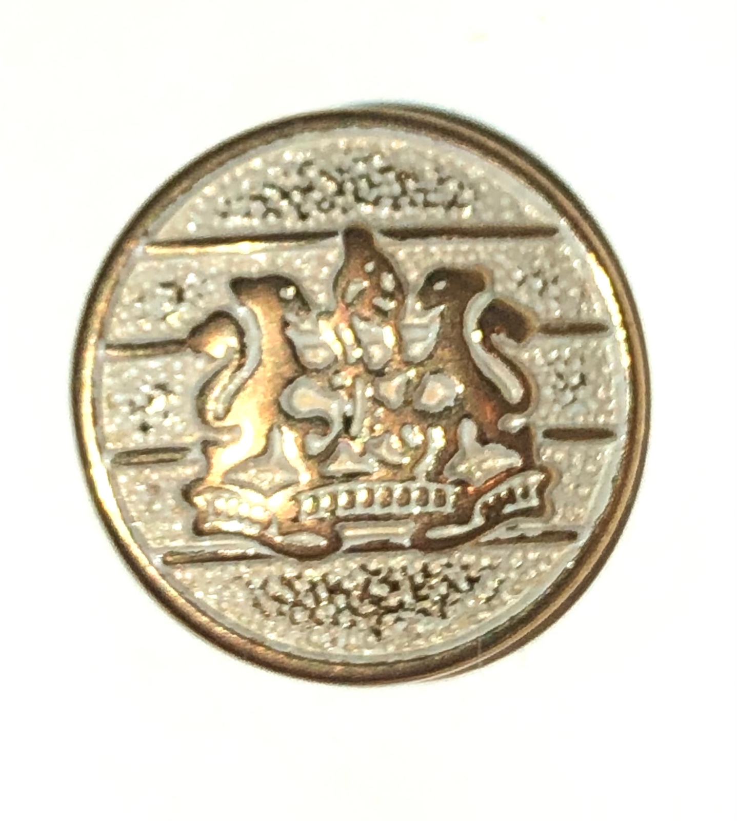 Vtg Gold Brass Shank Button Coat of Arms High Relief White Wash ...