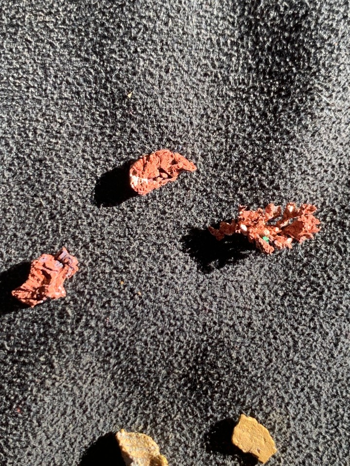 Gold, Silver, Copper, Nuggets, 1878-S Morgan,Mercury Dimes,Sterling ...