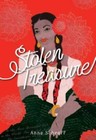Stolen Treasure (Red Rhino Books) - Paperback By Schraff, Anne E ...
