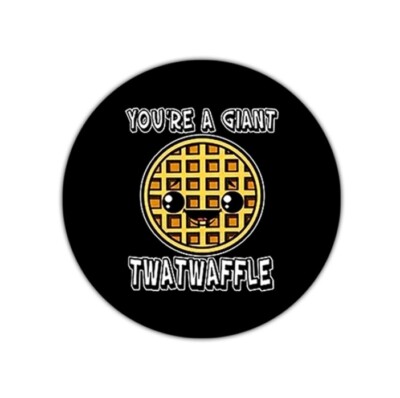 5 pc Planar Resin Flatback Adult 1230132 You're a giant twatwaffle 30mm ...