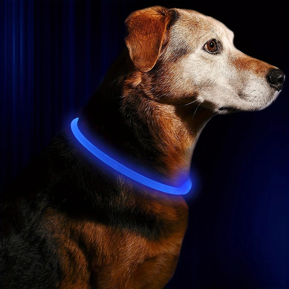 USB Rechargeable LED Dog Pet Collar Flashing Luminous Safety Night ...