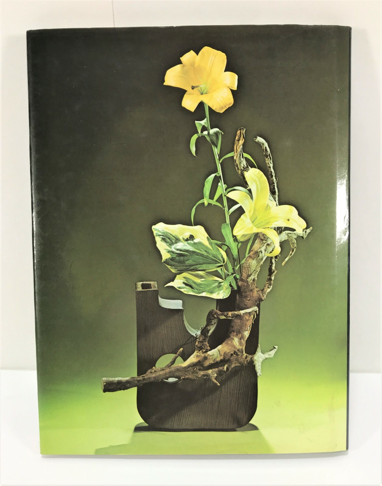 ABC of Flower Arranging Julia Clements Hardback 1976 9780713431124 ...