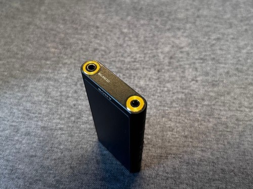 SONY NW-ZX300 ZX Series Walkman 64GB Digital Audio Player Used from ...