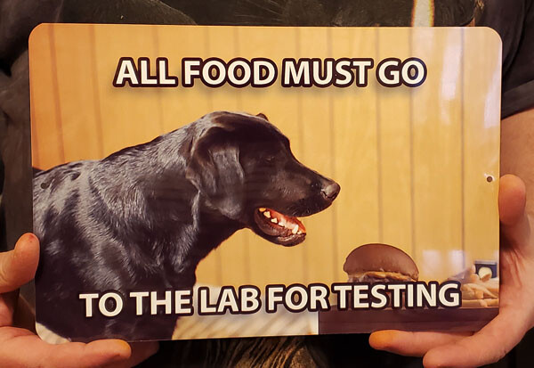 Labrador Dog Memes