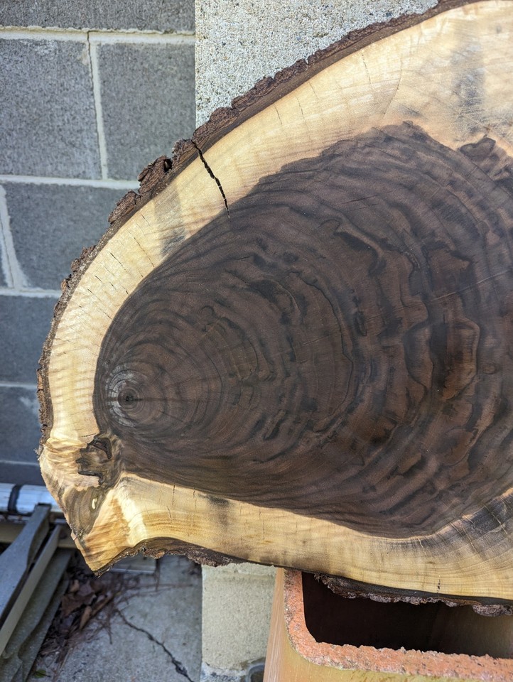 Black Walnut (Live Edge) (wood slice, table top round) epoxy pieces ...