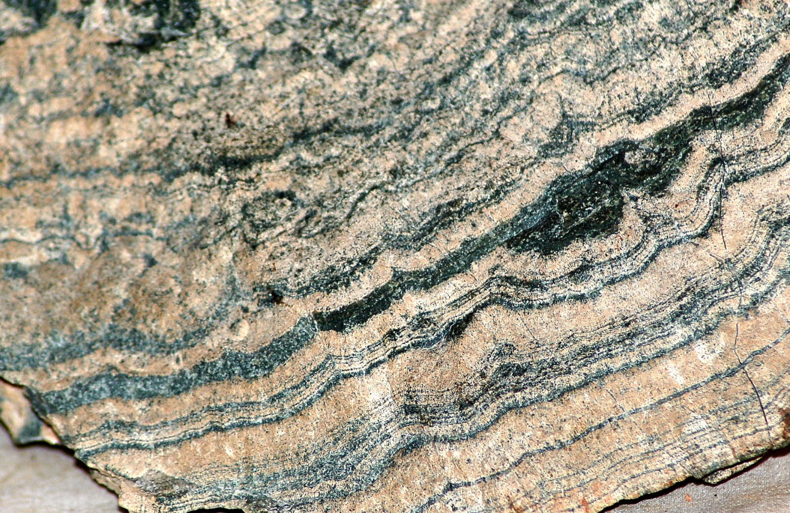 Russian Picture Rock Scarn Datolite lapidary rough 14+ lbs slab/cab ...