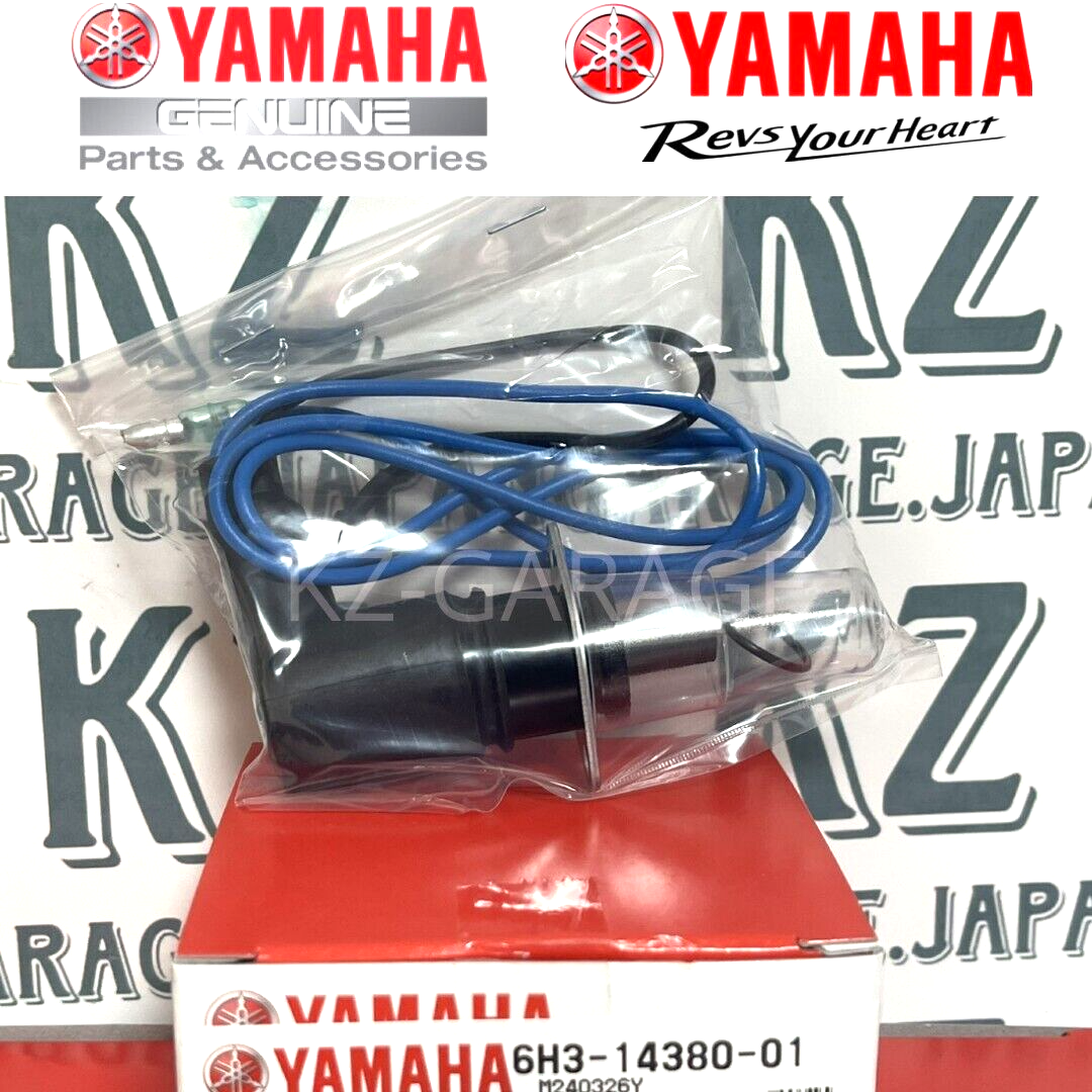 Yamaha OUTBOARD OEM Starter Assembly 6h3-14380-00 6H31438000 for sale ...