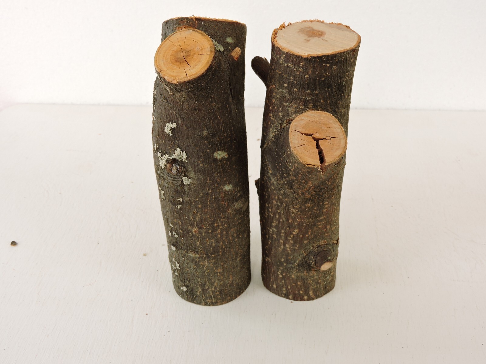 2 Apple Wood Stick Log Chunk Carving Blank Craft Forked Crotch 2 1/4~2 ...