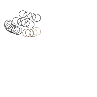 FOR NISSAN 12037-R9000, RING SET - .75MM NISSAN H20/H20-II | eBay