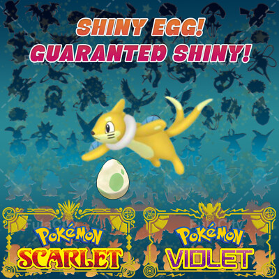 BUIZEL POKEMON SCARLET VIOLET SHINY EGG 6 IV CUSTOM AVAILABLE | eBay