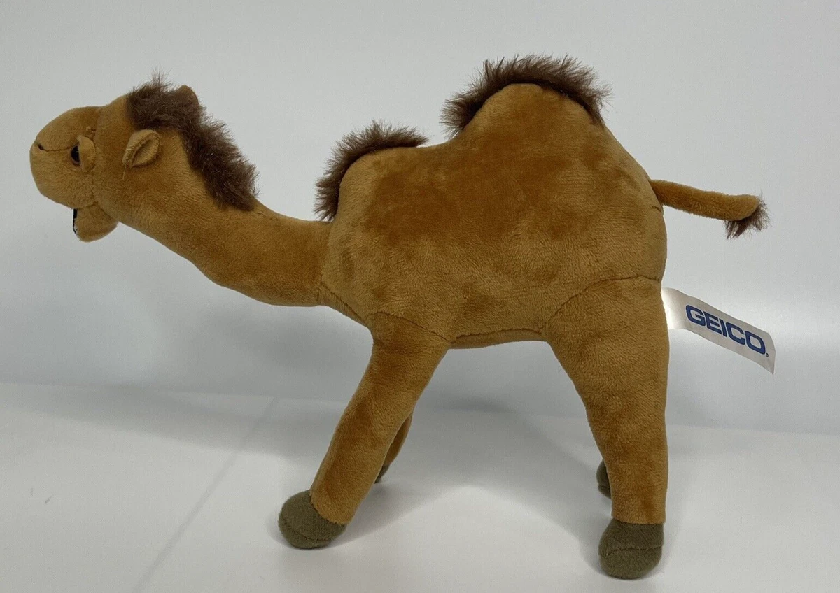 Geico Camel Hump Day