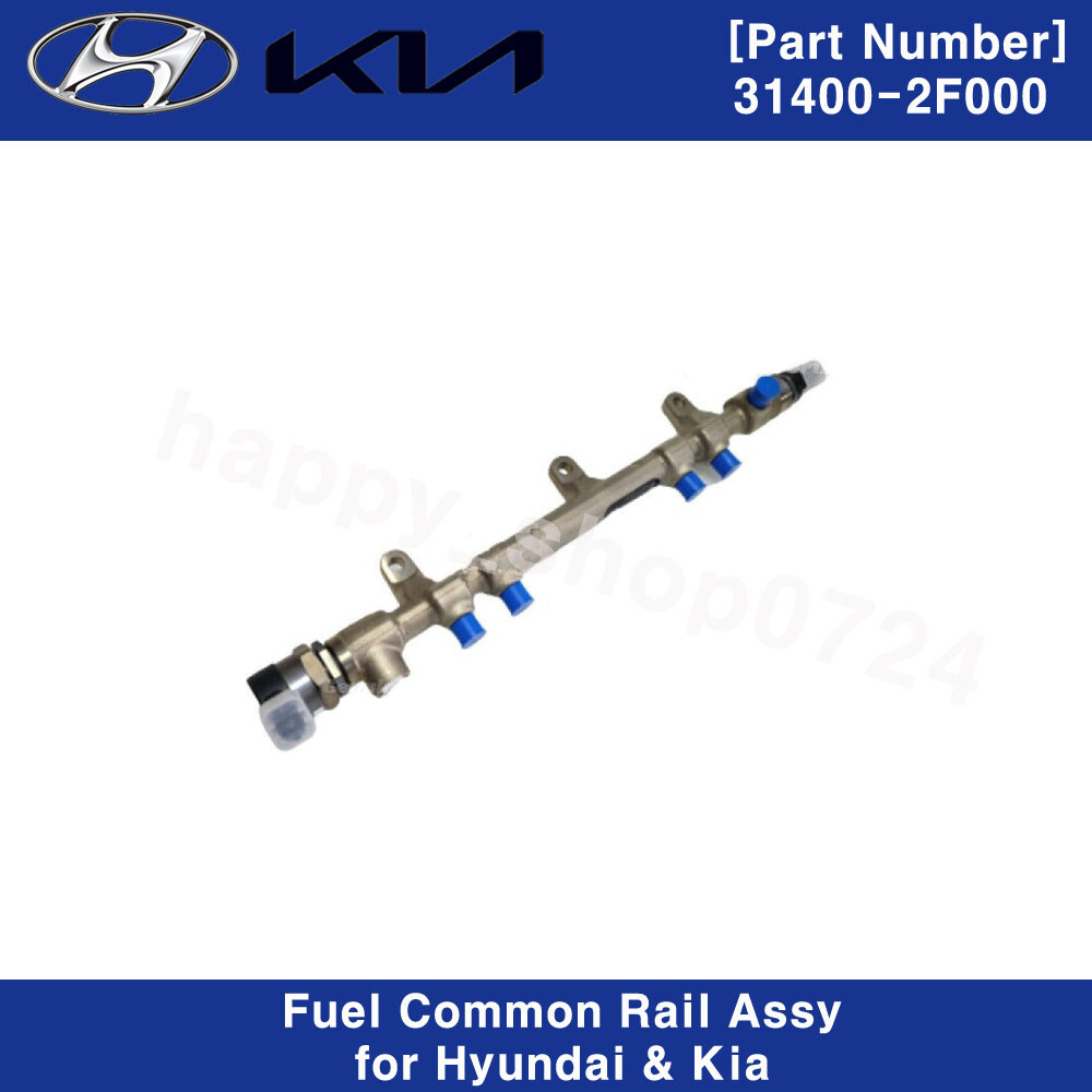 Genuine 314002F000 Fuel Common Rail Assy for Hyundai Tucson 2010-2014 ...
