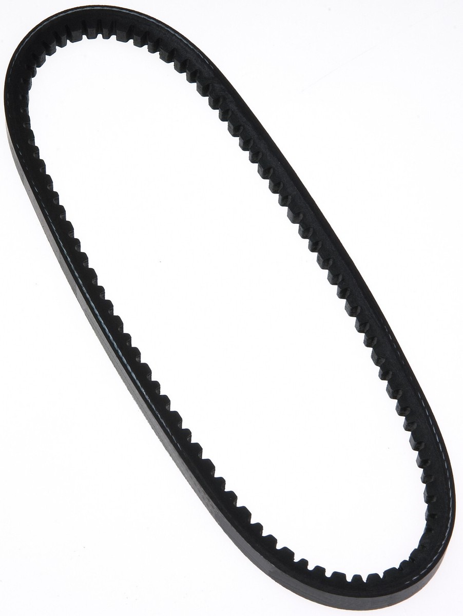 Accessory Drive Belt-High Capacity V-Belt(Standard) Roadmax 17465AP for ...