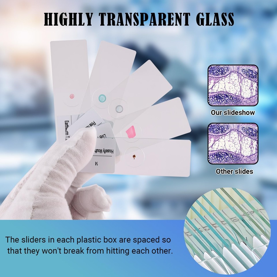 Microscope Slides with Specimens for Kids & Adults 60 Tablets Prepared ...