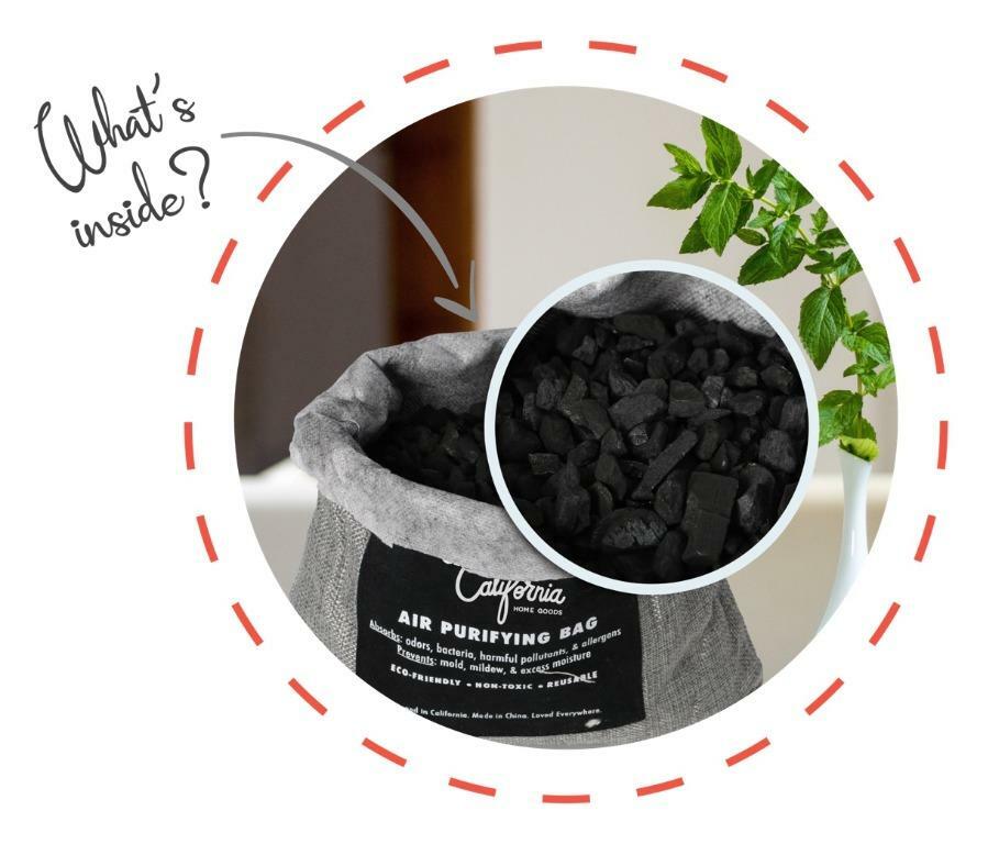 Variety 9 Pack Bamboo Charcoal Air Purifying Bags ( 4x100g, 1x60g ...