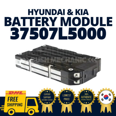 GENUINE OEM Hyundai Kia Battery Module Low Voltage 37507L5000 FAST ...