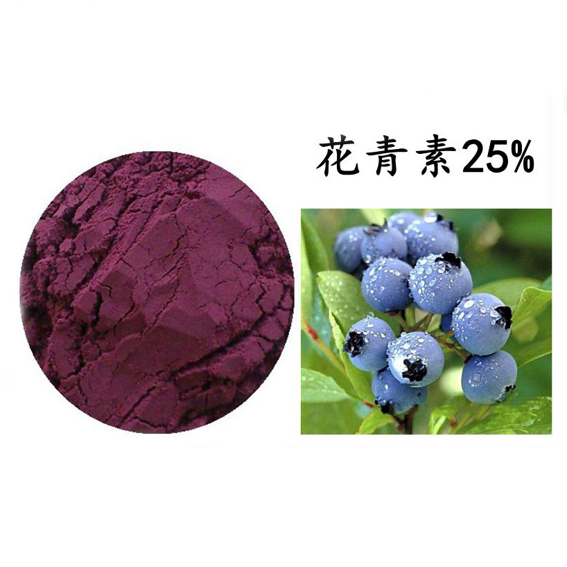 100g Blueberry Extract Powder 25% Anthocyanidins Antioxidant Improve ...
