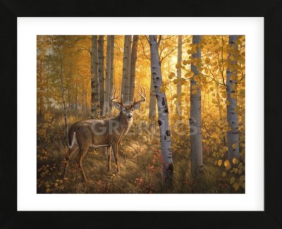 FRAMED ART Whitetail in Aspens by Greg Alexander Deer Wildlife Print ...