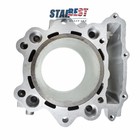 Cylinder repair kit for HISUN MASSIMO BENNCHE COLEMAN YS QLINK HS 700cc ...