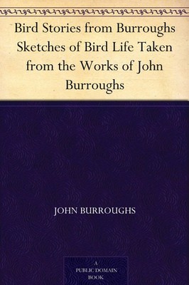 Burroughs, John Bird Stories From Burroughs - Sketches Of Bird Life Tak ...